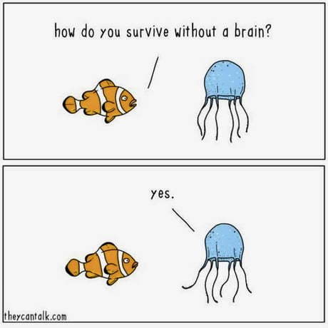 Best Funny fish Memes - 9GAG