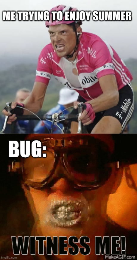 Best Funny bug Memes - 9GAG