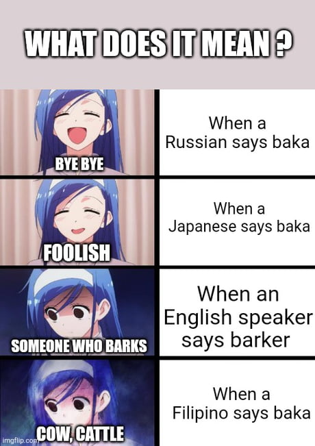 Best Funny baka Memes - 9GAG