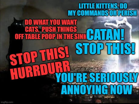 Best Funny catan Memes - 9GAG