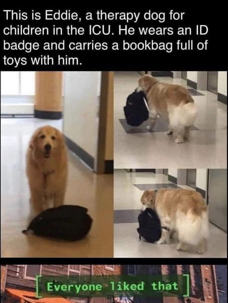 Best Funny icu Memes - 9GAG