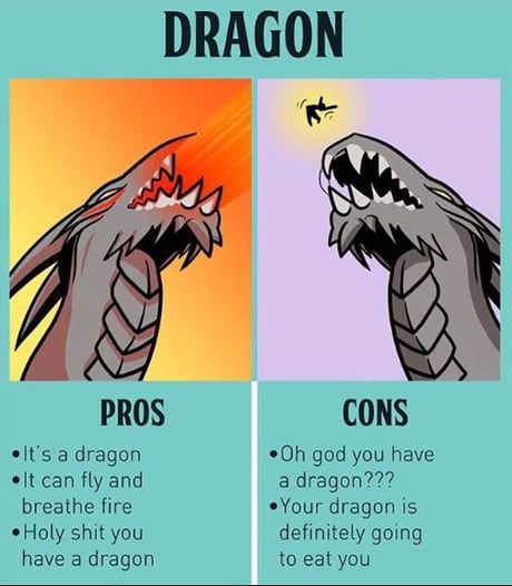 Best Funny dragon Memes - 9GAG
