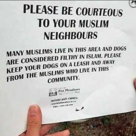 Best Funny good boy Memes - 9GAG