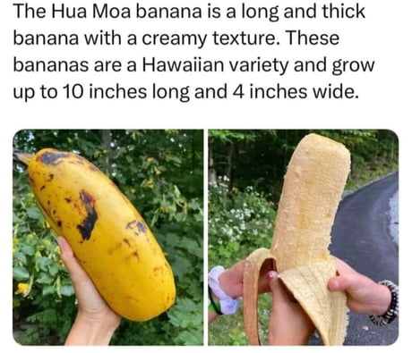 Best Funny banana Memes - 9GAG