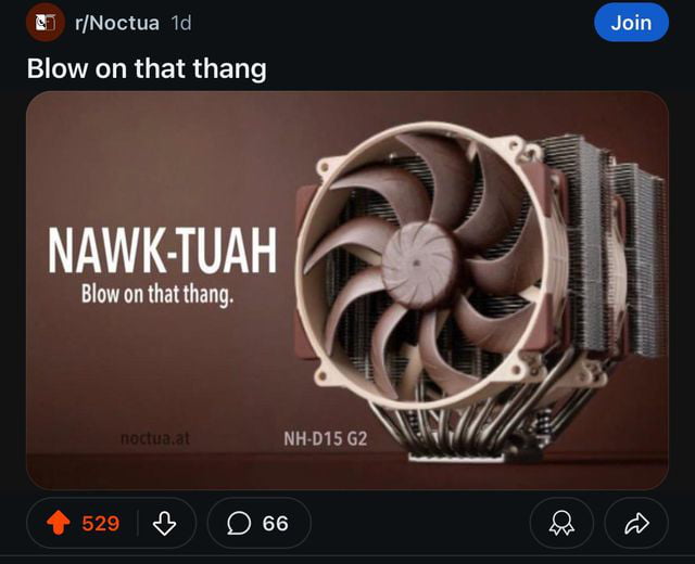 Noctua Nawk-Tuah Blow on that Thang. - 9GAG