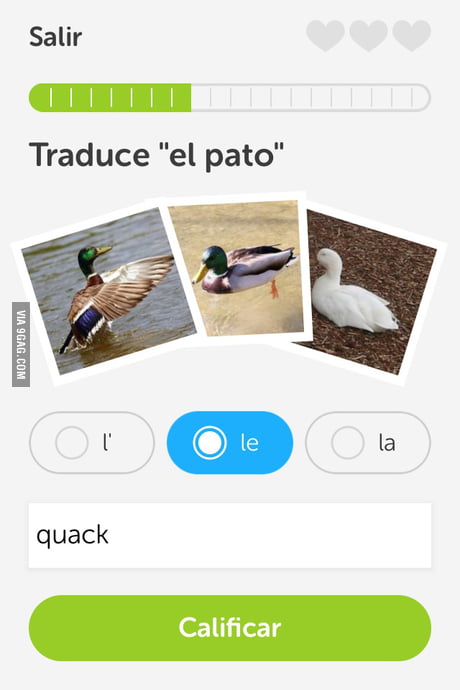 Tomer Akrish - 9GAG
