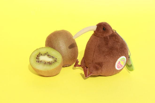 Japanese Retailer Collabs With Zoo To Release Fluffy Kiwi Stuffed Toy ...