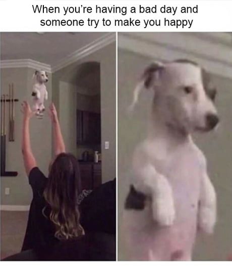 So You Had A Bad Day Meme