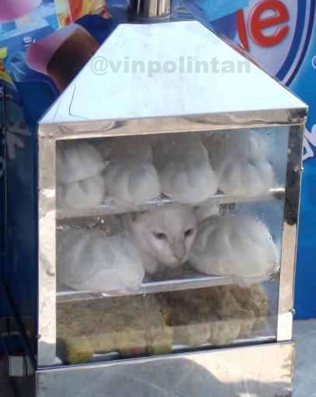 Siopao Memes AD BEAT Ang Galing Ni Ate Manghula! Lakas Ng Amats!