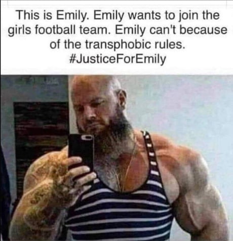 Emily Meme