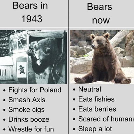 Best Funny wojtek Memes - 9GAG