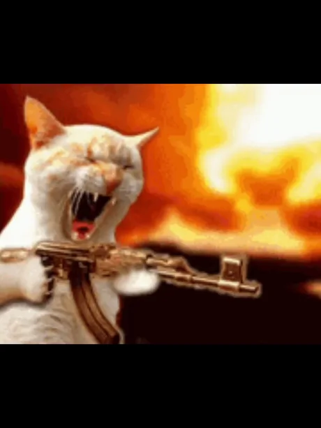 Cat Machine Gun Funny