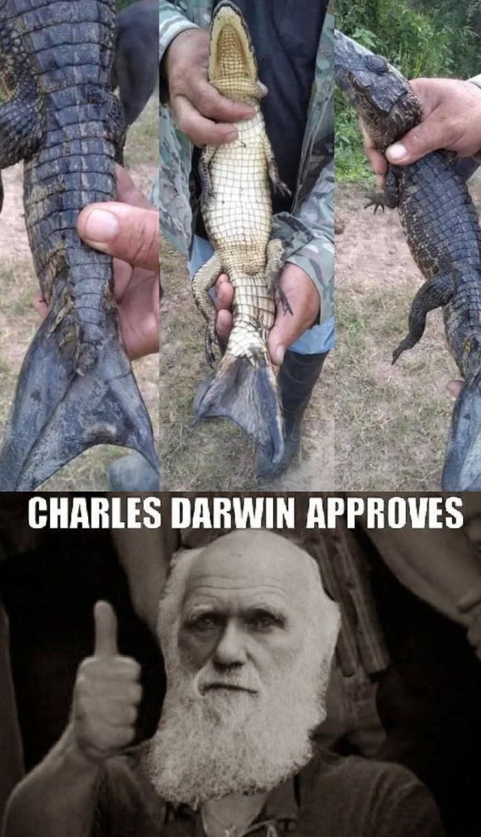 Using memes wrong - 9GAG