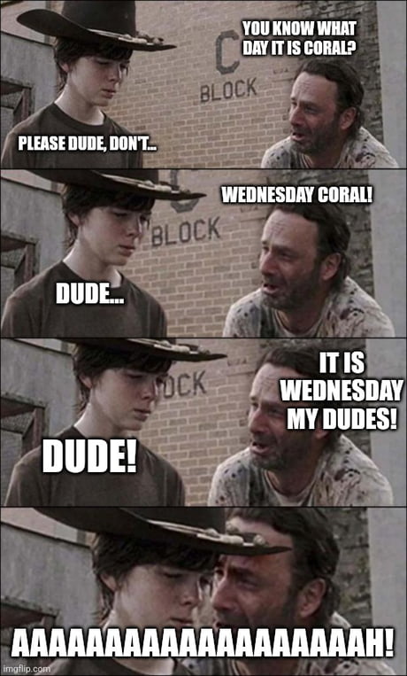 Its Wednesday Meme