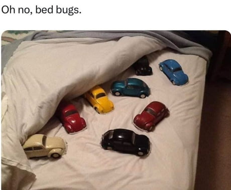 Funny Bed Bug Memes