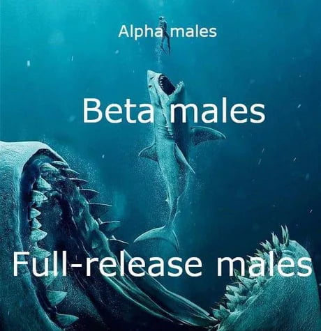 Day 1 patch males - 9GAG