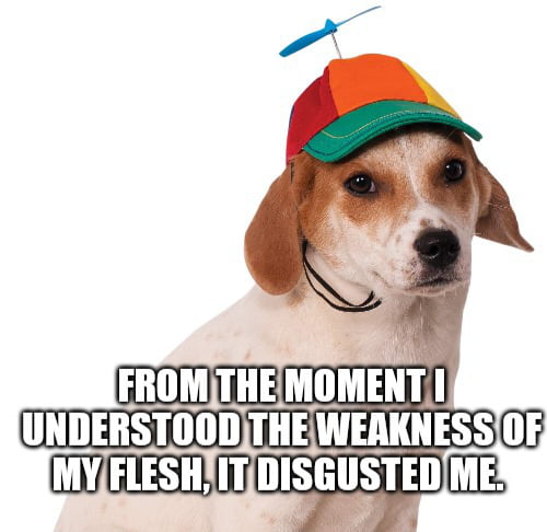 Stronger, faster, smarter - 9GAG