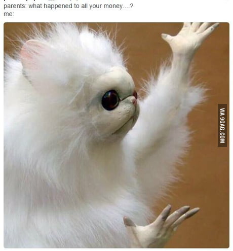 Where Did Everyone Go Meme