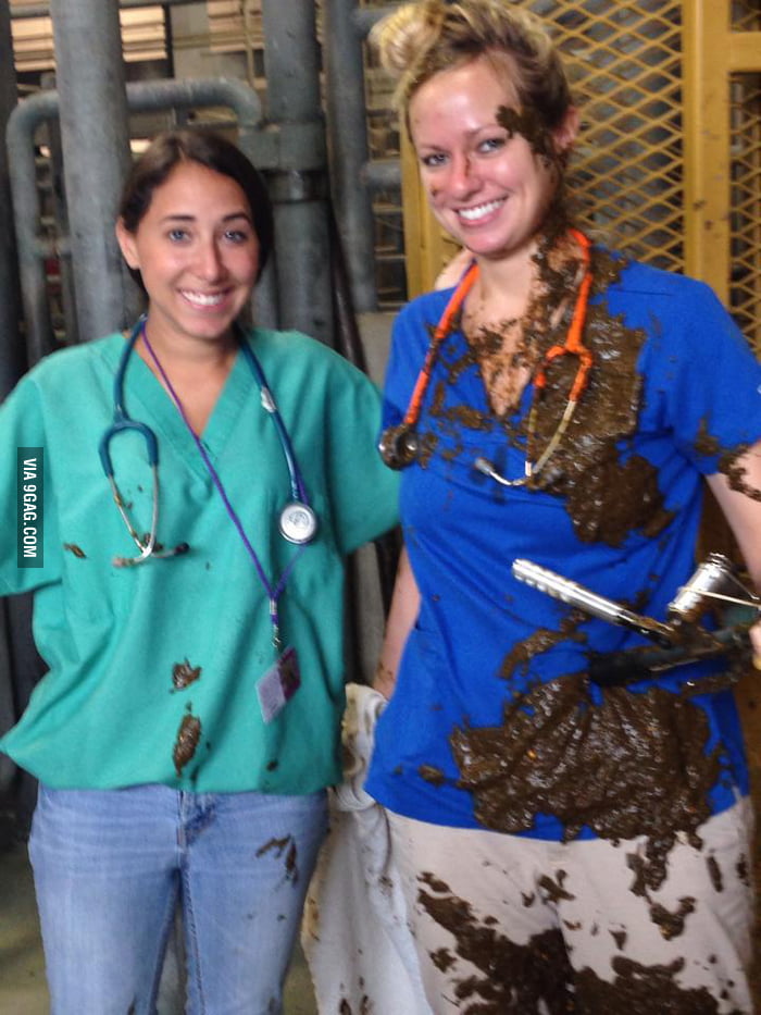 "That calf did not want to get castrated." - 9GAG