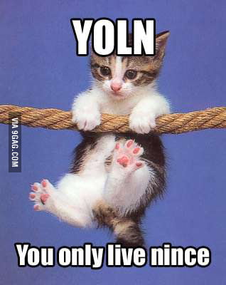 Cat Yolo Memes Science Cat Meme By Operation_Anti YOLO :) Memedroid