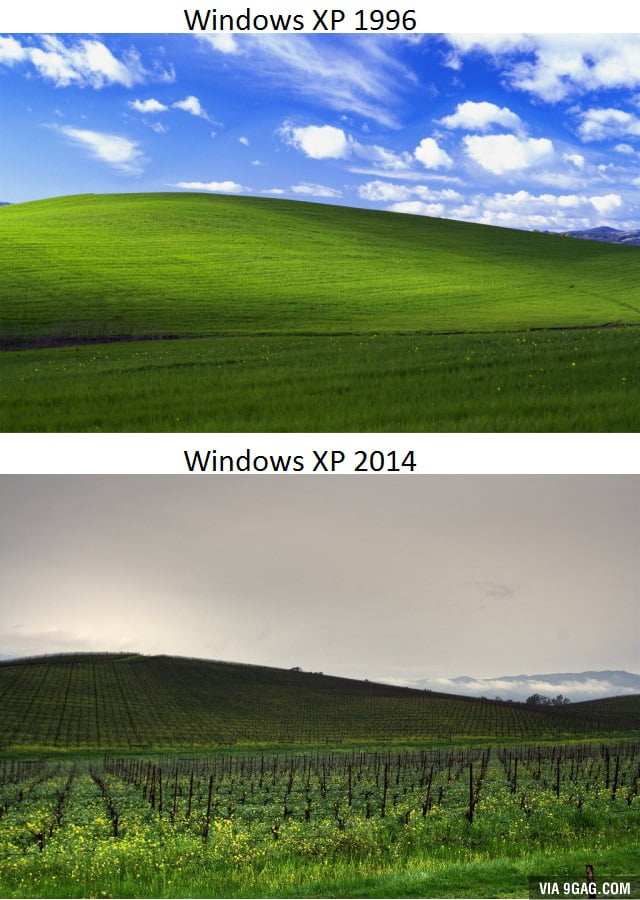 Windows XP Wallpaper from 1996 to 2014 - 9GAG
