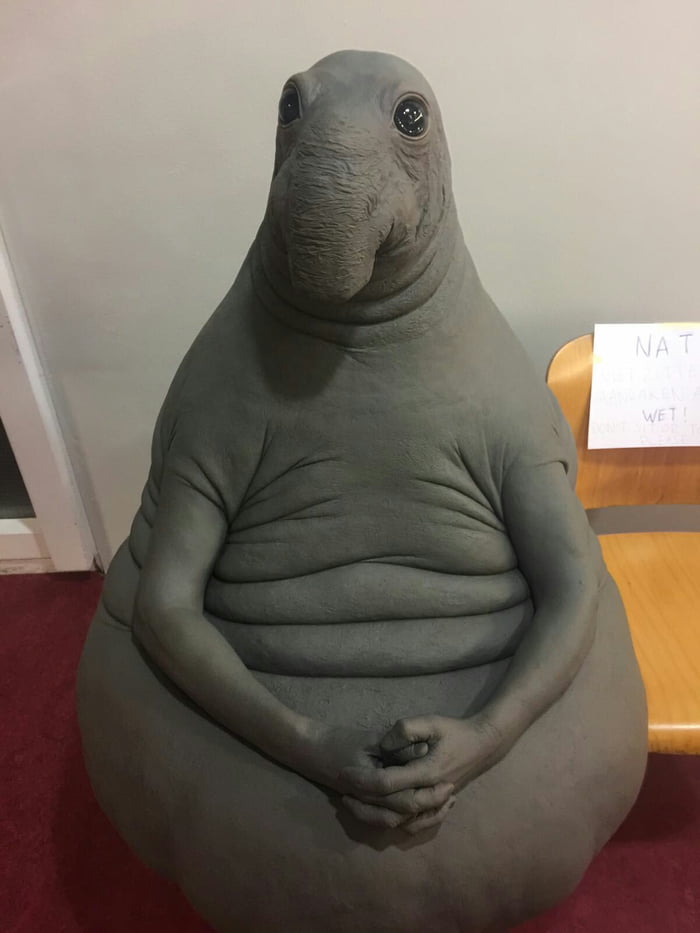 You have been visited by the almighty elephant seal man, he will grant ...