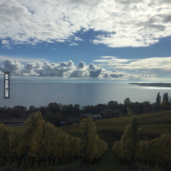 My everyday view on the way to work - 9GAG