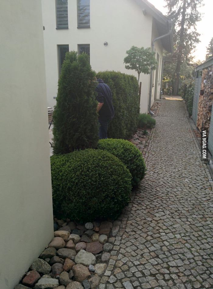 This guy hiding behind a "bush" - 9GAG