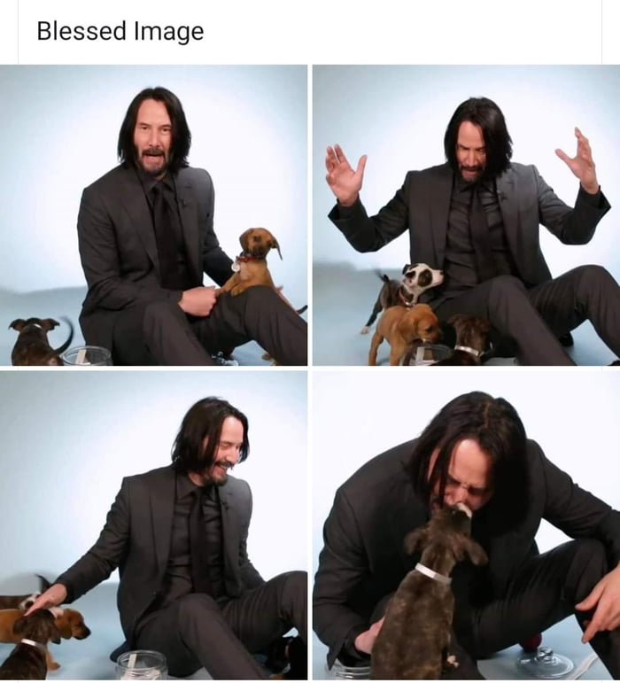 Wholesome John Wick - 9GAG