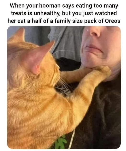 Why you little-! - 9GAG