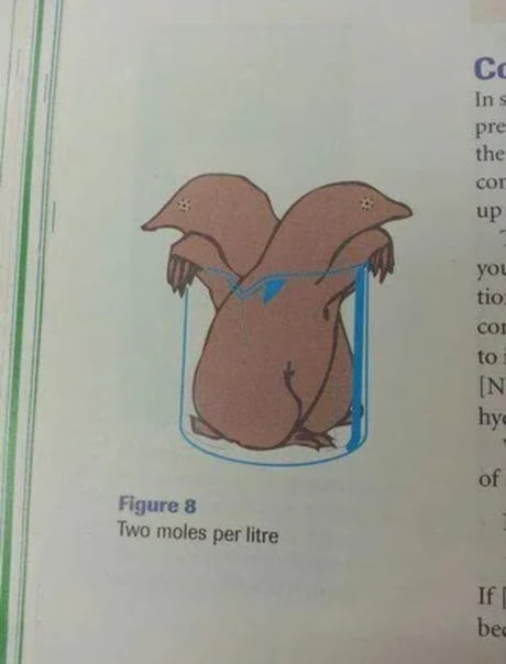 Best Funny mole Memes - 9GAG