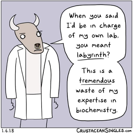 Best Funny dexters laboratory Memes - 9GAG