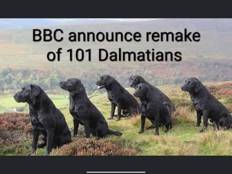 Best Funny bbc Memes - 9GAG