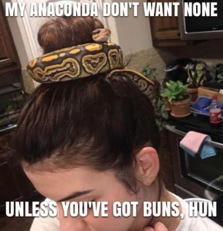 Best Funny snake Memes - 9GAG