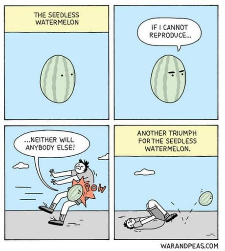 Best Funny watermelon Memes - 9GAG