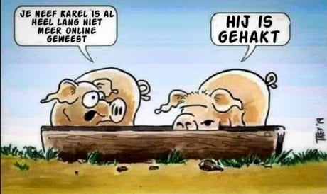 Funny Belgium 🇧🇪 Memes - 9GAG