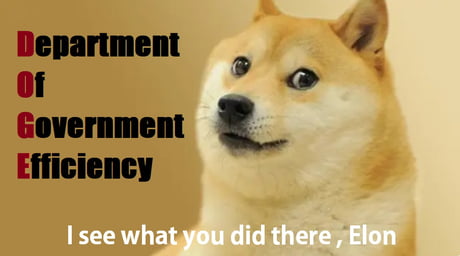 Doge Grá Meme