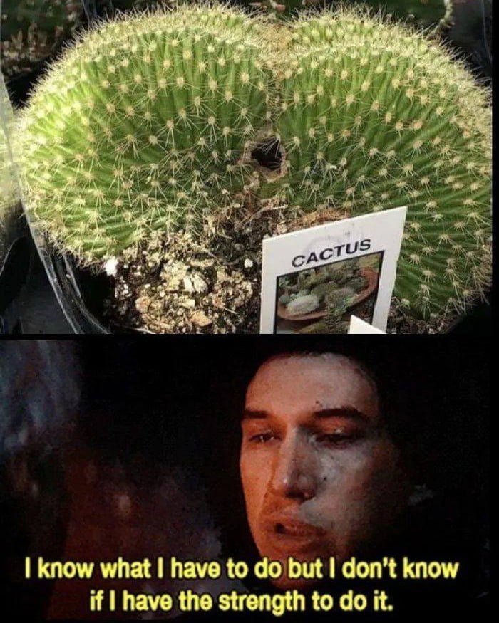 Being brave is having fear but finding a way through it - 9GAG