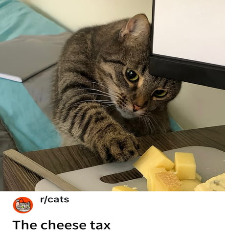 Best Funny cheese Memes - 9GAG