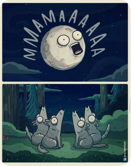 Funny Moon Memes