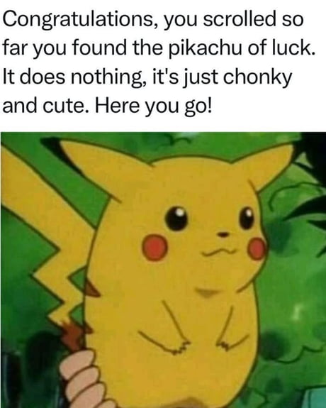 Cute Pikachu Memes