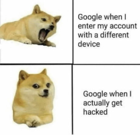 Best Funny doge meme Memes - 9GAG