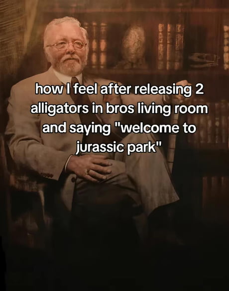 Best Funny alligator Memes - 9GAG
