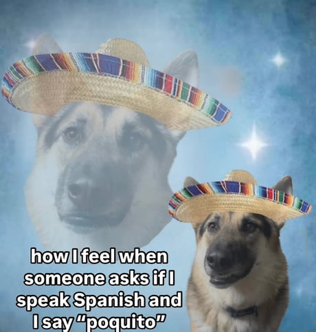 Best Funny spanish Memes - 9GAG