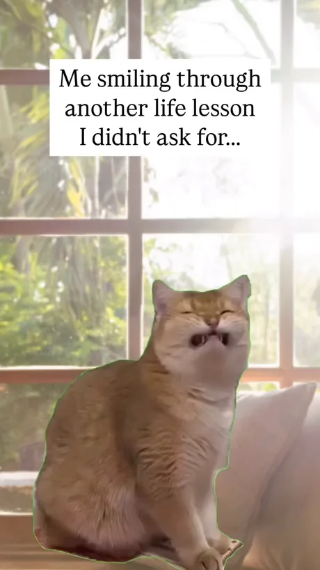 Life Lessons Funny Comedy