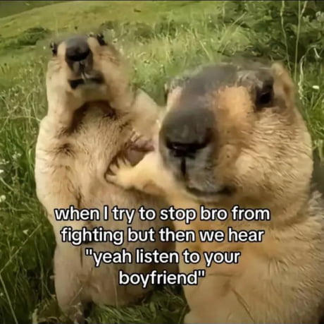 Best Funny fight Memes - 9GAG