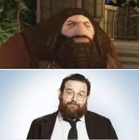 Best Funny hagrid Memes - 9GAG