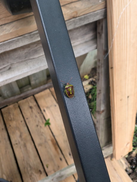 Best Funny crawler Memes - 9GAG