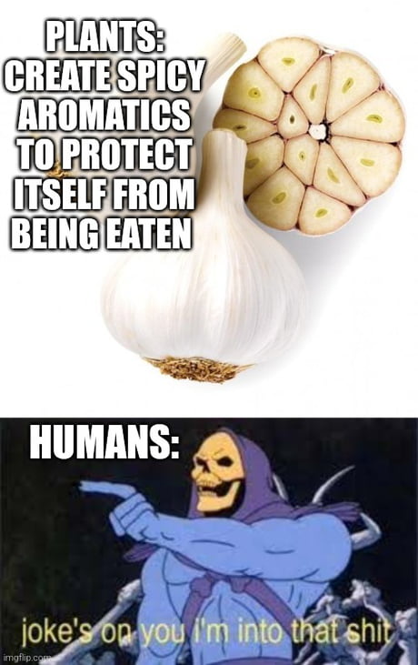 Garlic Sauce Memes