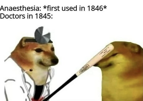 Dog Doctor Memes I Has A Hotdog Doctor Funny Dog Pictures | Dog